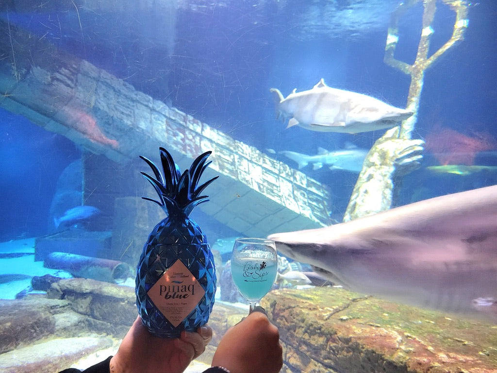 Fish & Sips at the Long Island Aquarium – Piñaq