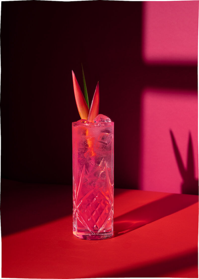 piñaq pink lemonade – Piñaq